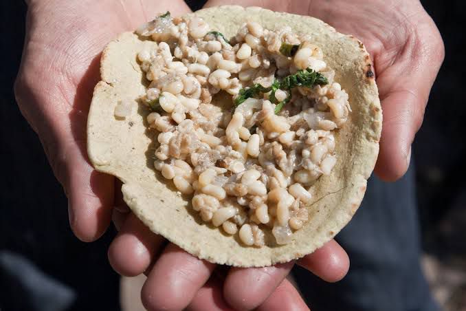 Escamoles: el caviar mexicano - Tragones pero Finos