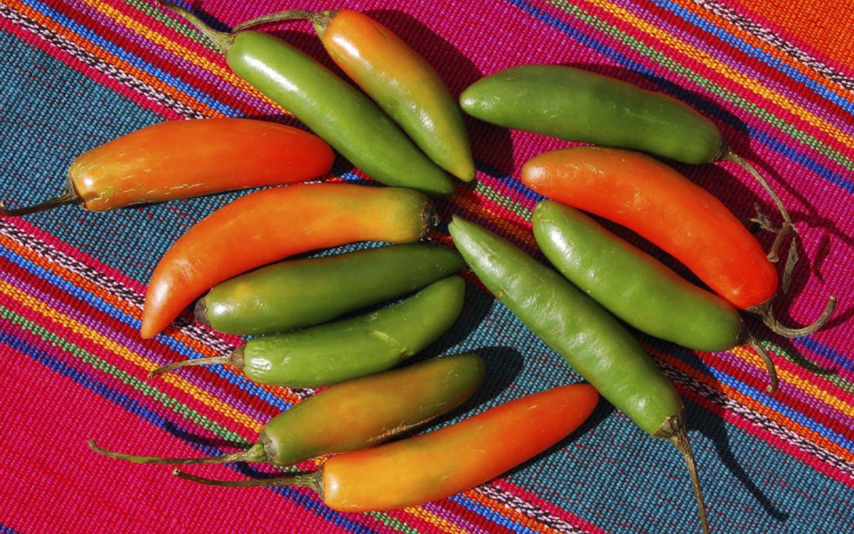 Chile serrano: ¡imperdible en la comida mexicana! - Tragones pero Finos